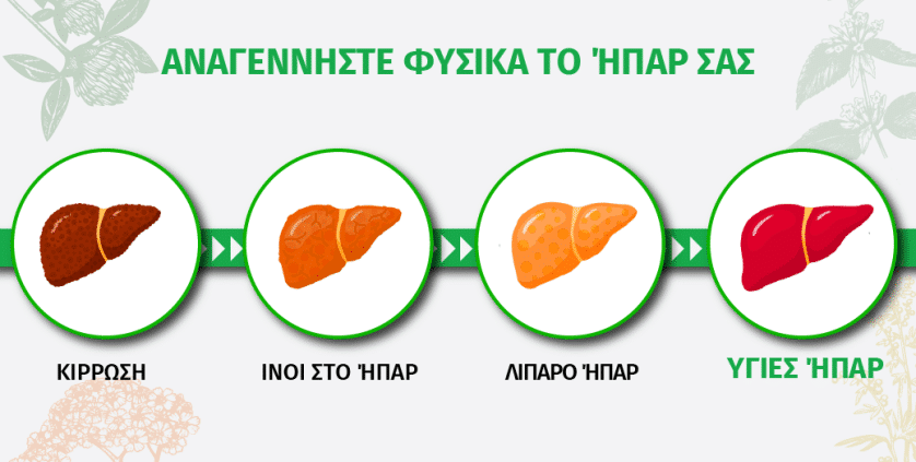 Υγιές συκώτι – Naturesfinest